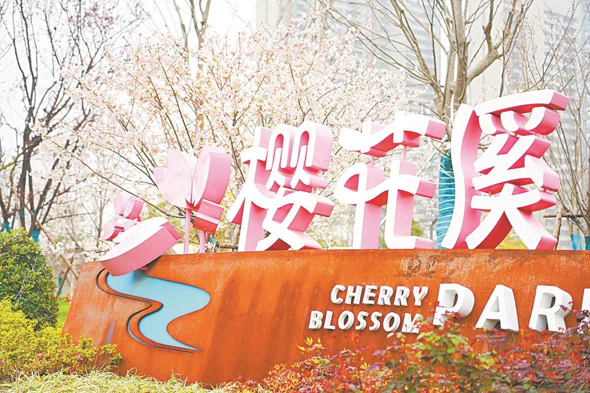 一樱盛开唤醒百花齐放 新晋花城武汉花漾闹春-武汉市农业农村局